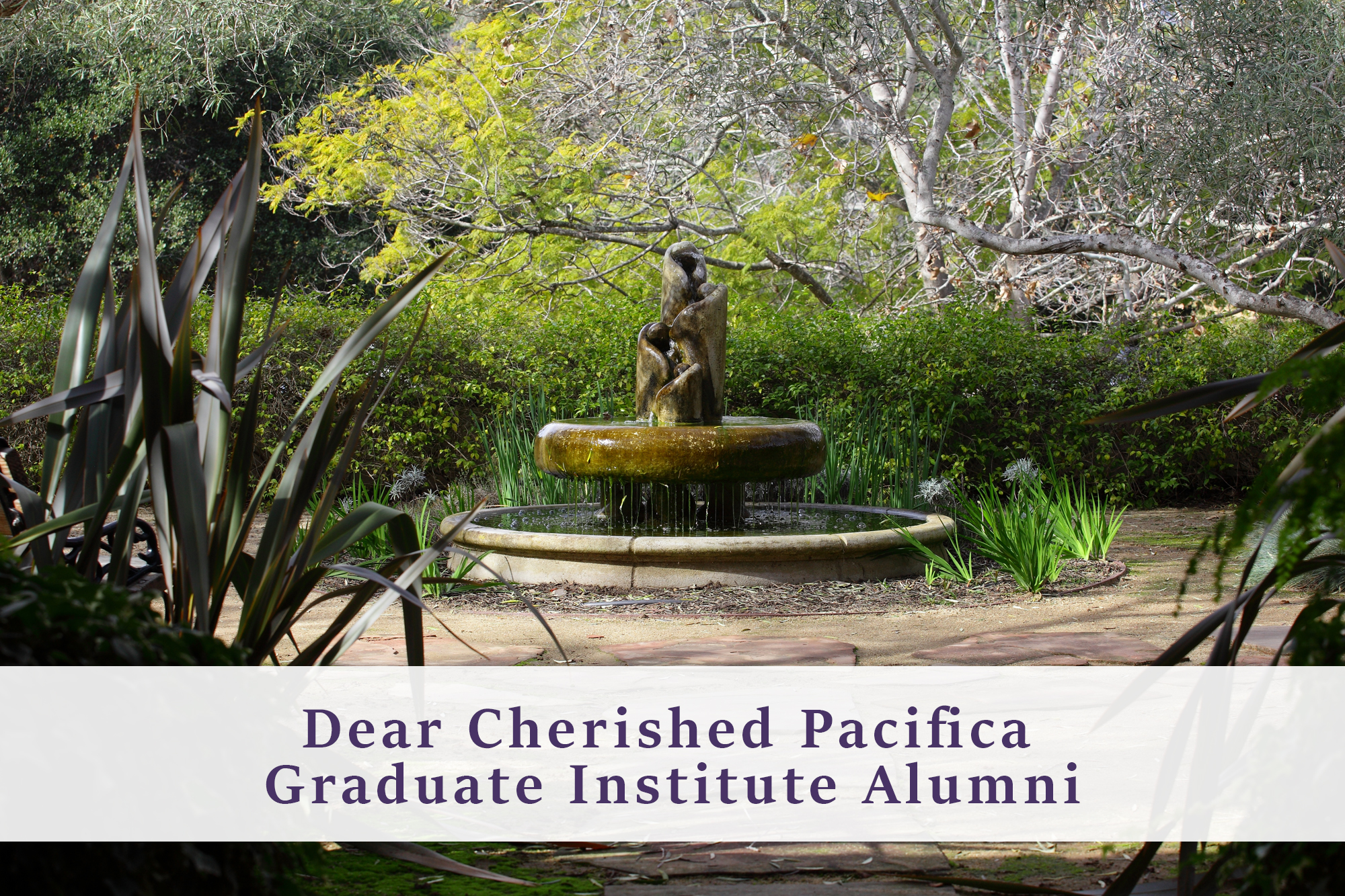To All Cherished Pacifica Graduate Institute Alumni – Pacifica Graduate ...