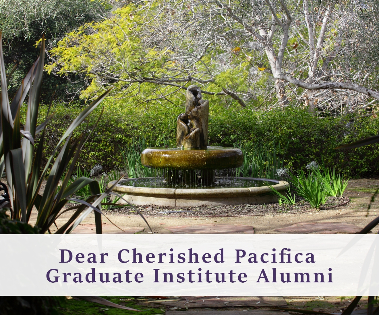 Home – Pacifica Graduate Institute Alumni Association
